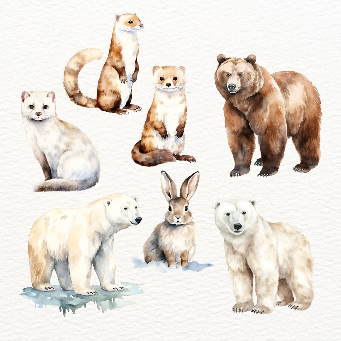 Arctic Animals Clipart, Penguin, Polar Bear, Walrus, Baby Shower ...