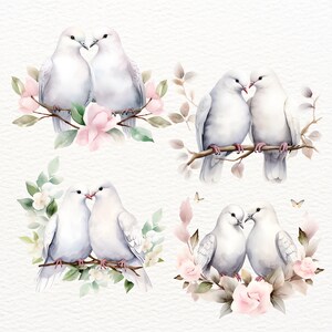 Watercolor Dove Clipart: 20 Flying Bird PNG Images (commercial Use) - Etsy