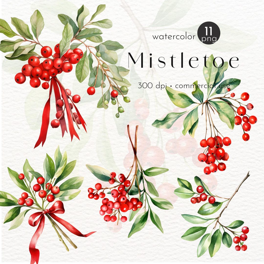 Mistletoe Clipart, Christmas Flower Clip Art, Watercolor Christmas ...