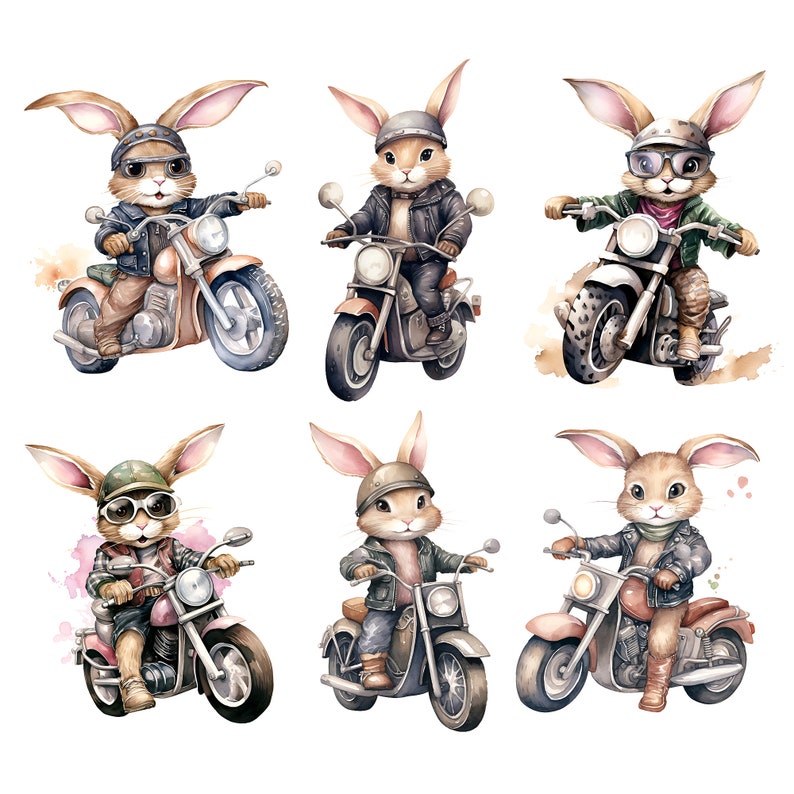 Biker Bunny Clipart, Watercolor Bunnies, Motorcycle Driver Bunny, Baby ...
