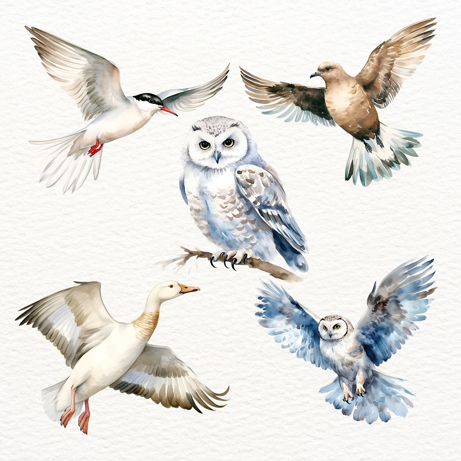 Arctic Animals Clipart, Penguin, Polar Bear, Walrus, Baby Shower ...
