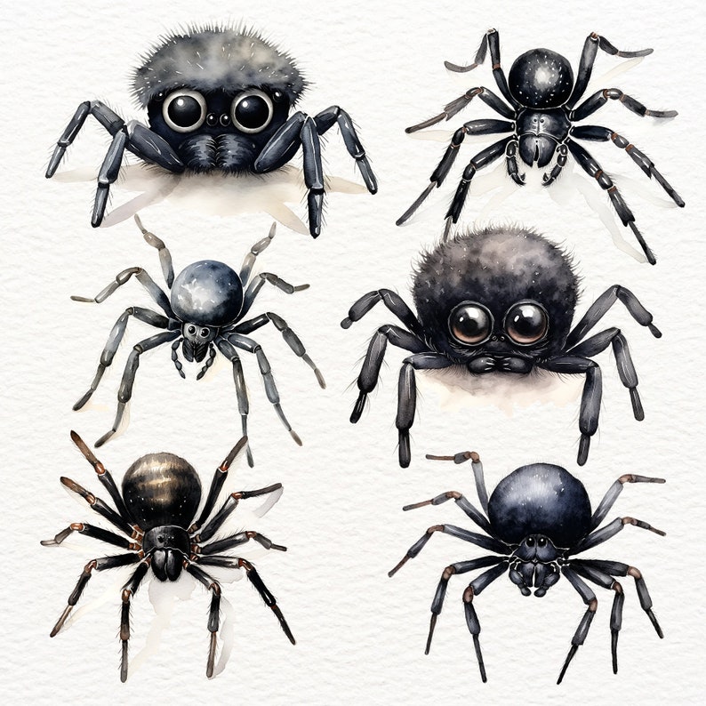 Cute Black Spiders Clipart, Gothic Clipart, Spiderweb Clipart Clipart ...