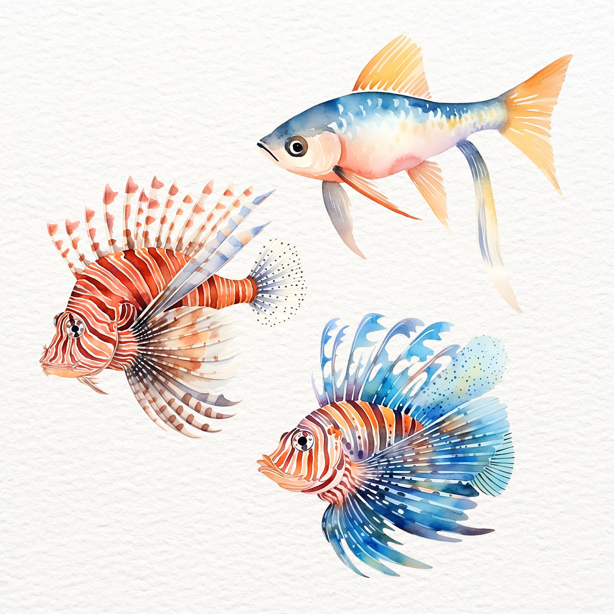 Exotic Fishes Clipart, Watercolor Fish Clipart, Baby Shower, Tropical ...