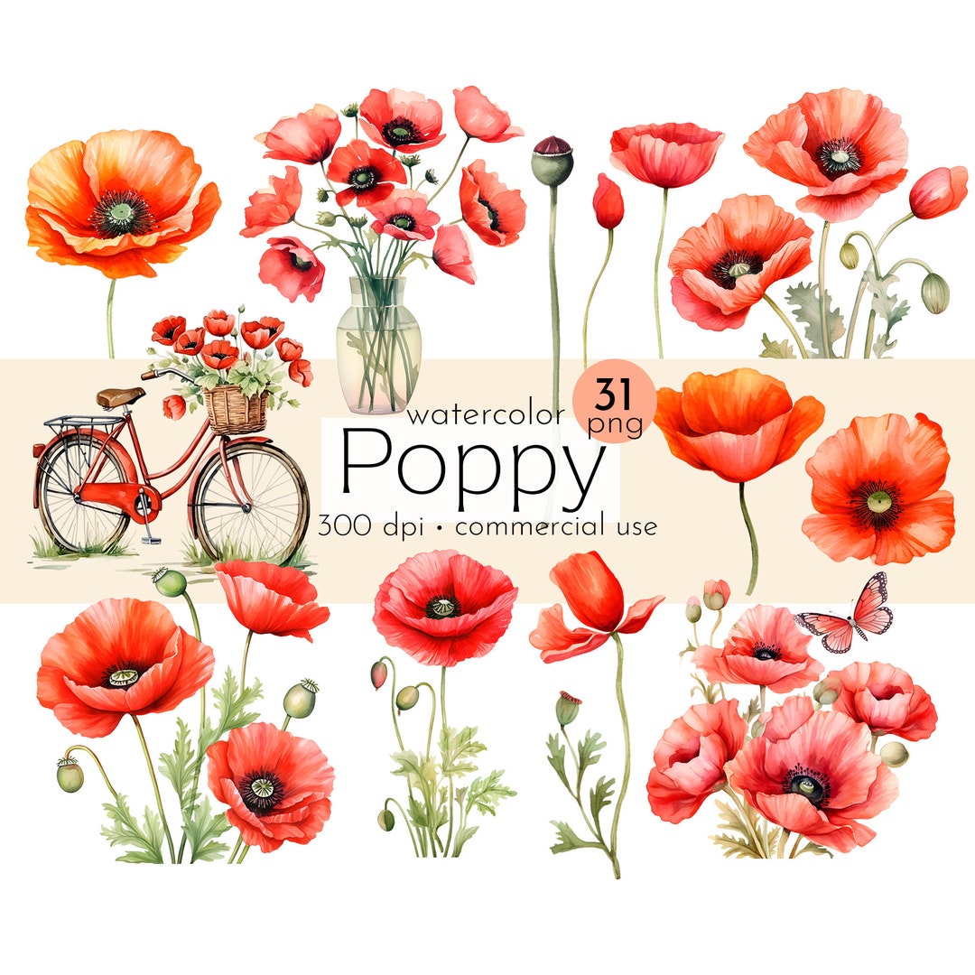Poppy Flowers Clipart, Watercolor Spring Flowers, Images of Beautiful ...