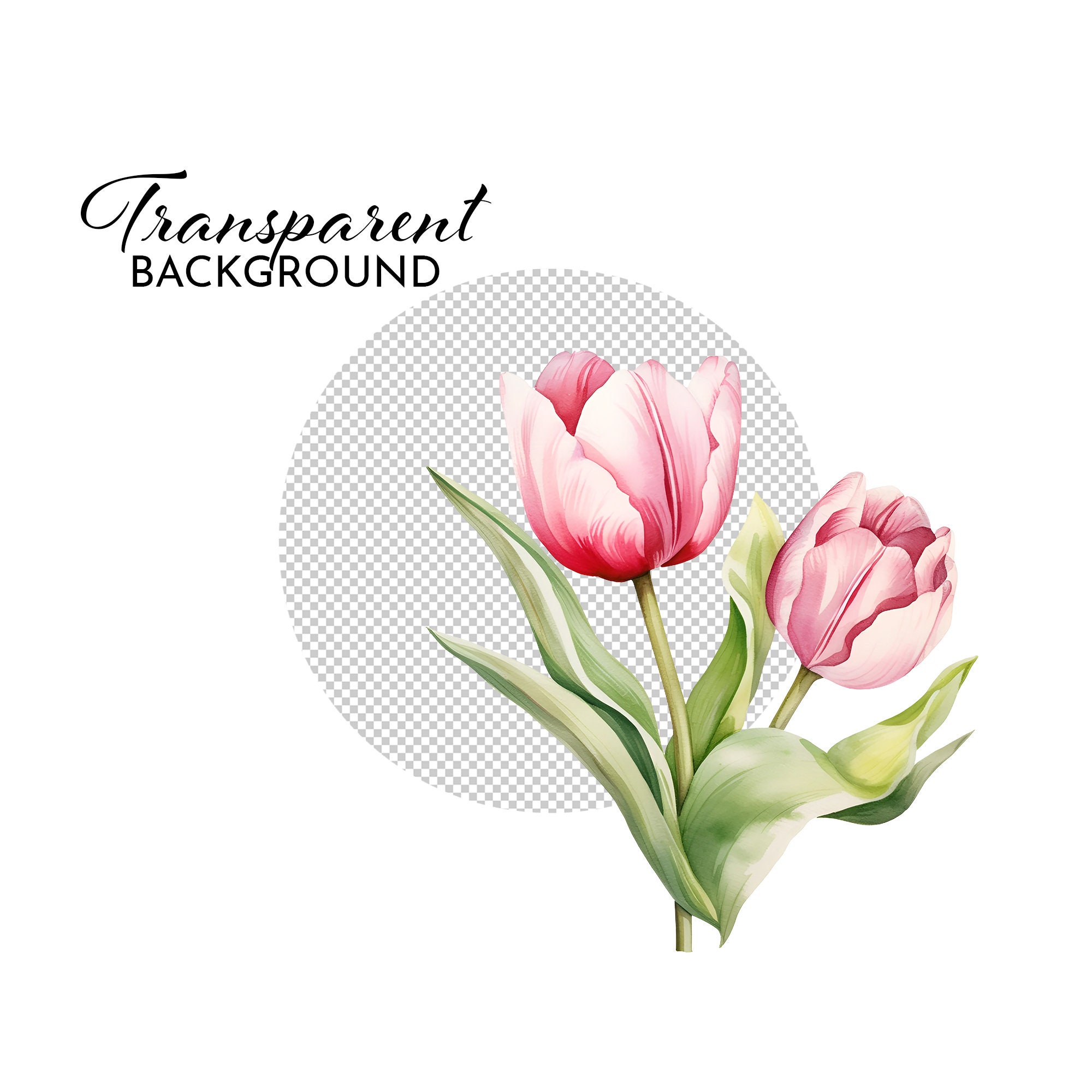 Spring Tulip Clipart, Watercolor Tulips, Images of Beautiful Spring ...
