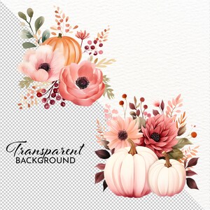 Pink Boho Pumpkin Watercolor Clipart: Floral Autumn PNG (commercial Use ...