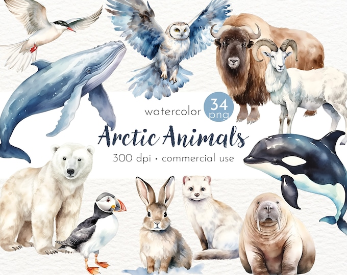 Arctic Animals Watercolor Clipart, Cute Polar Bear, Penguin, Narwal ...