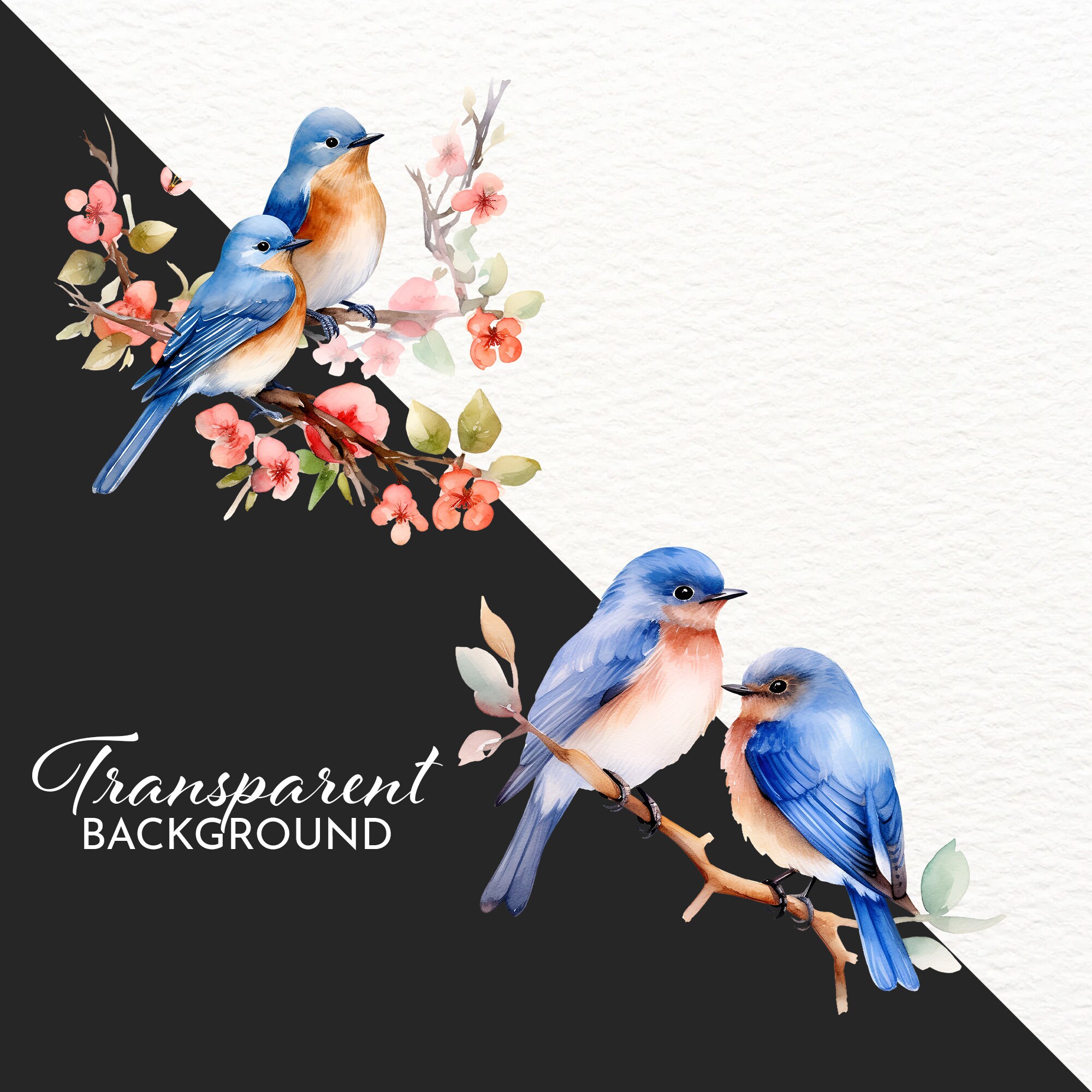 Bluebird Watercolor Clipart: Floral Bird Graphics (PNG, 20 Images ...