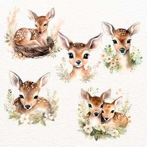 Baby Deer Clipart: 18 Watercolor Forest Animals (PNG, Commercial Use ...