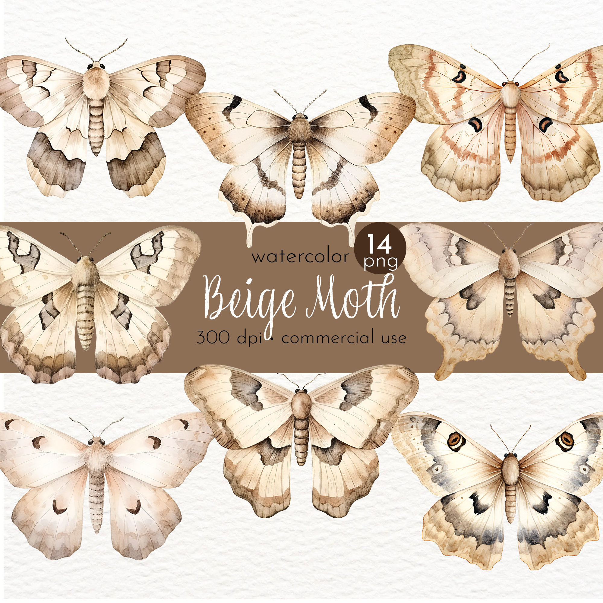 Beige Moth Clipart, Watercolor Insects, Painted Moths, Rustic Organic ...