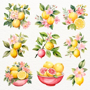 Pink Lemon Clipart Bundle, Images of Refreshing Summer Lemon Delights ...