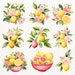 Pink Lemon Clipart Bundle, Images of Refreshing Summer Lemon Delights ...