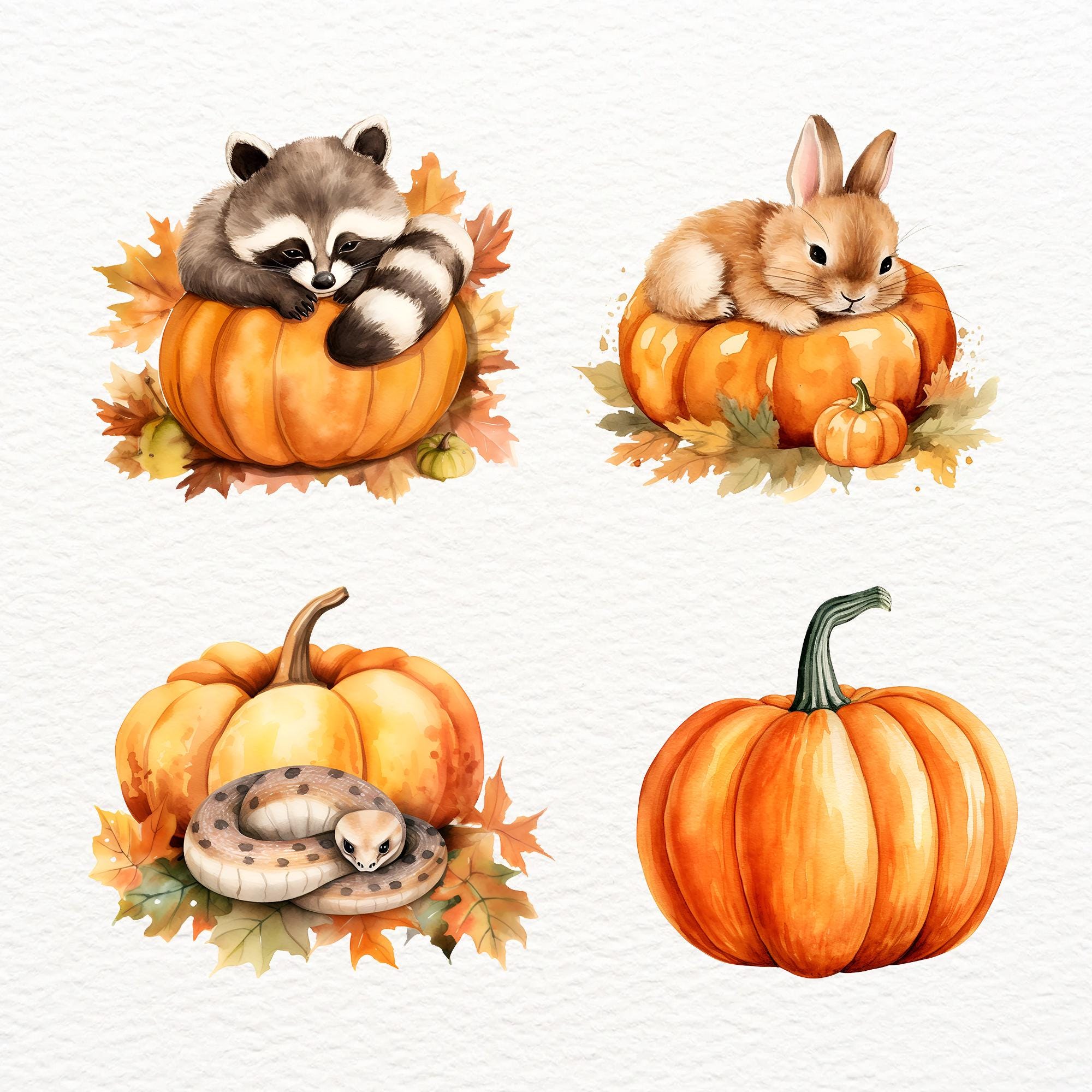 Autumn Animals Clipart: Fall PNG Images, Commercial Use (instant ...