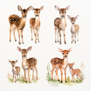 Baby Deer Clipart: 18 Watercolor Forest Animals (PNG, Commercial Use ...