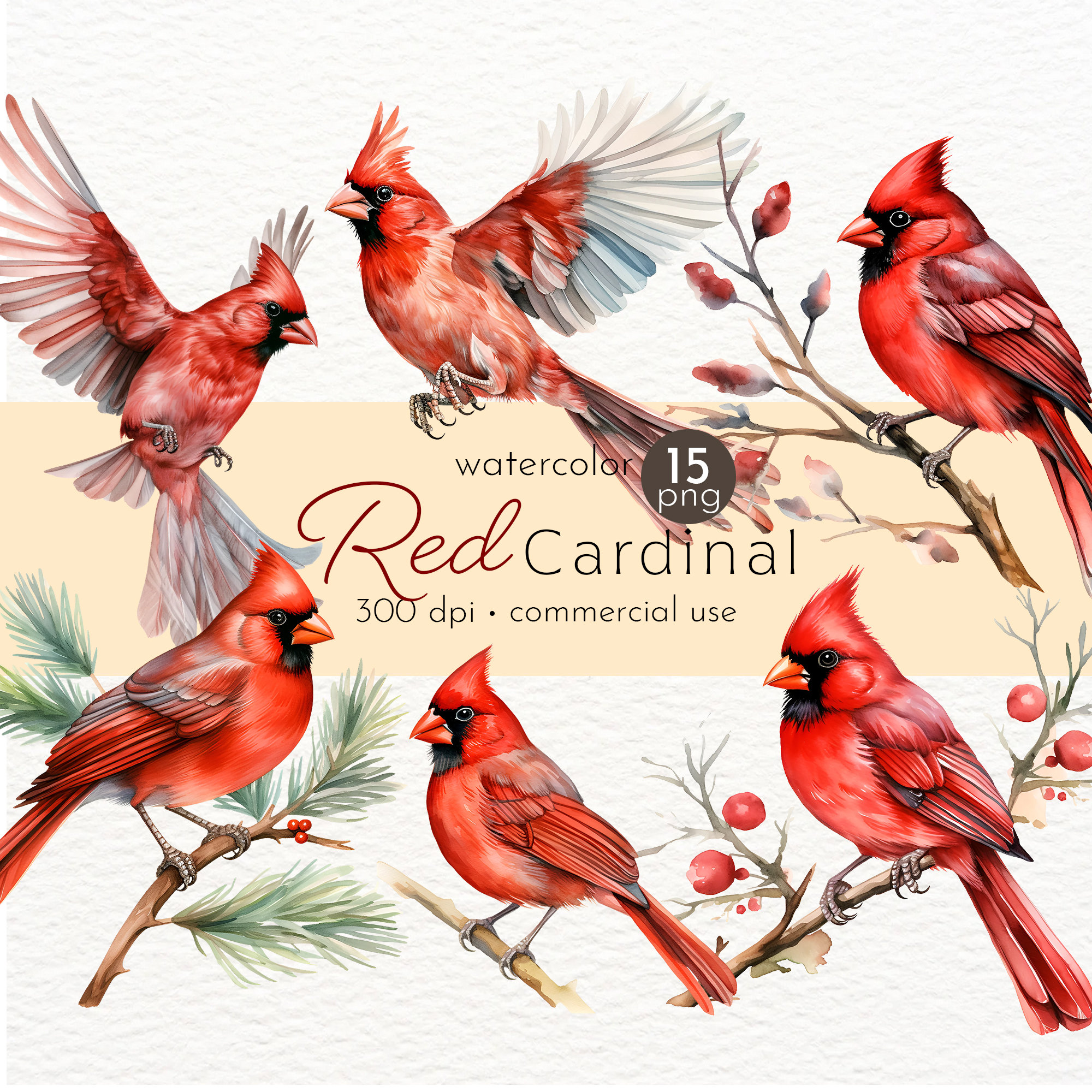 Red Cardinal Clipart, Bird Clip Art, Flying Red Cardinal, Watercolor ...