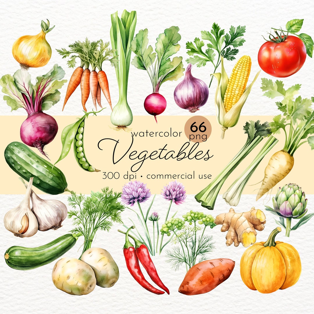 Vegetables Clipart Bundle, Salad, Plants, Greens, Fresh Food ...
