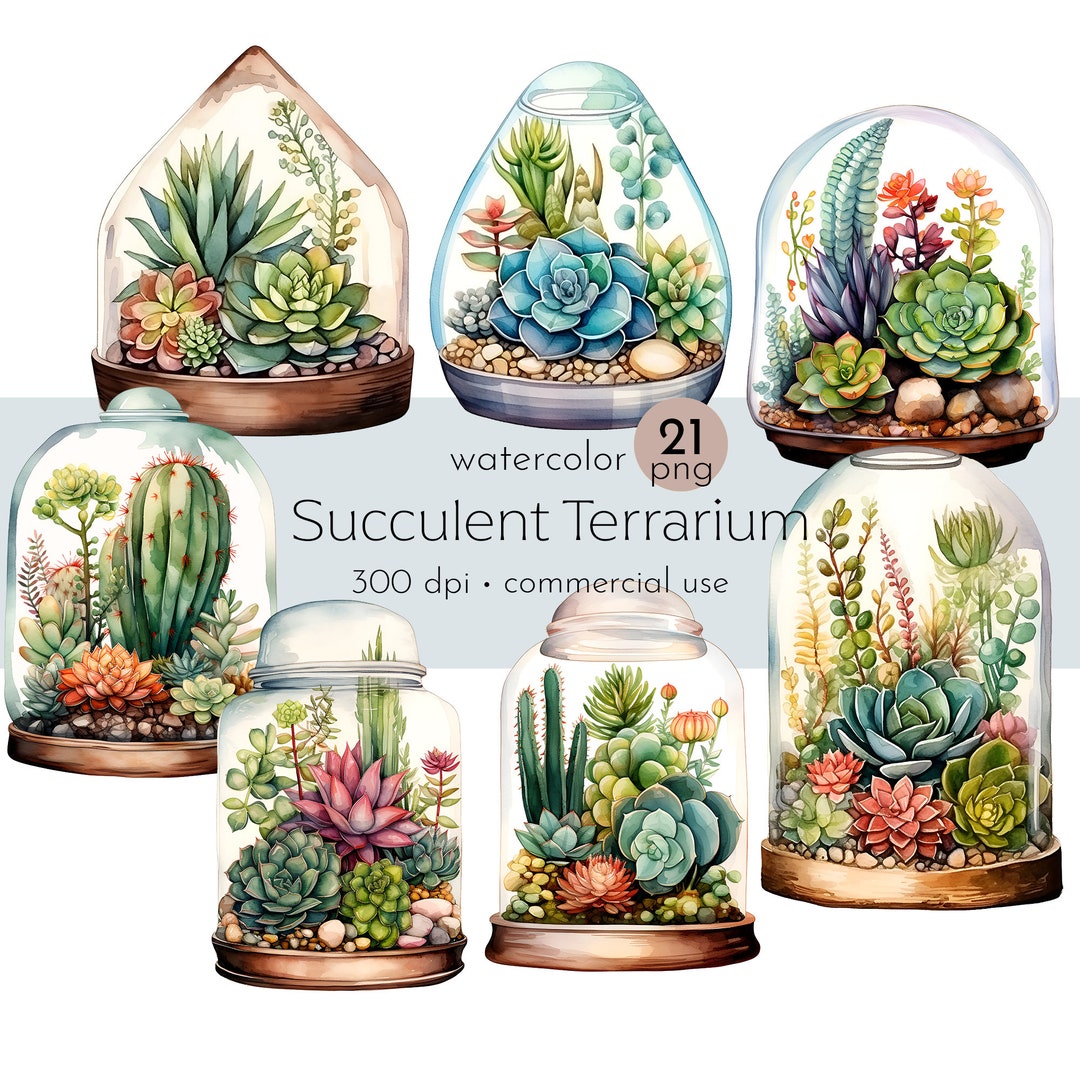 Succulent Terrarium Clipart: Greenery Cactus Art (instant Download) - Etsy