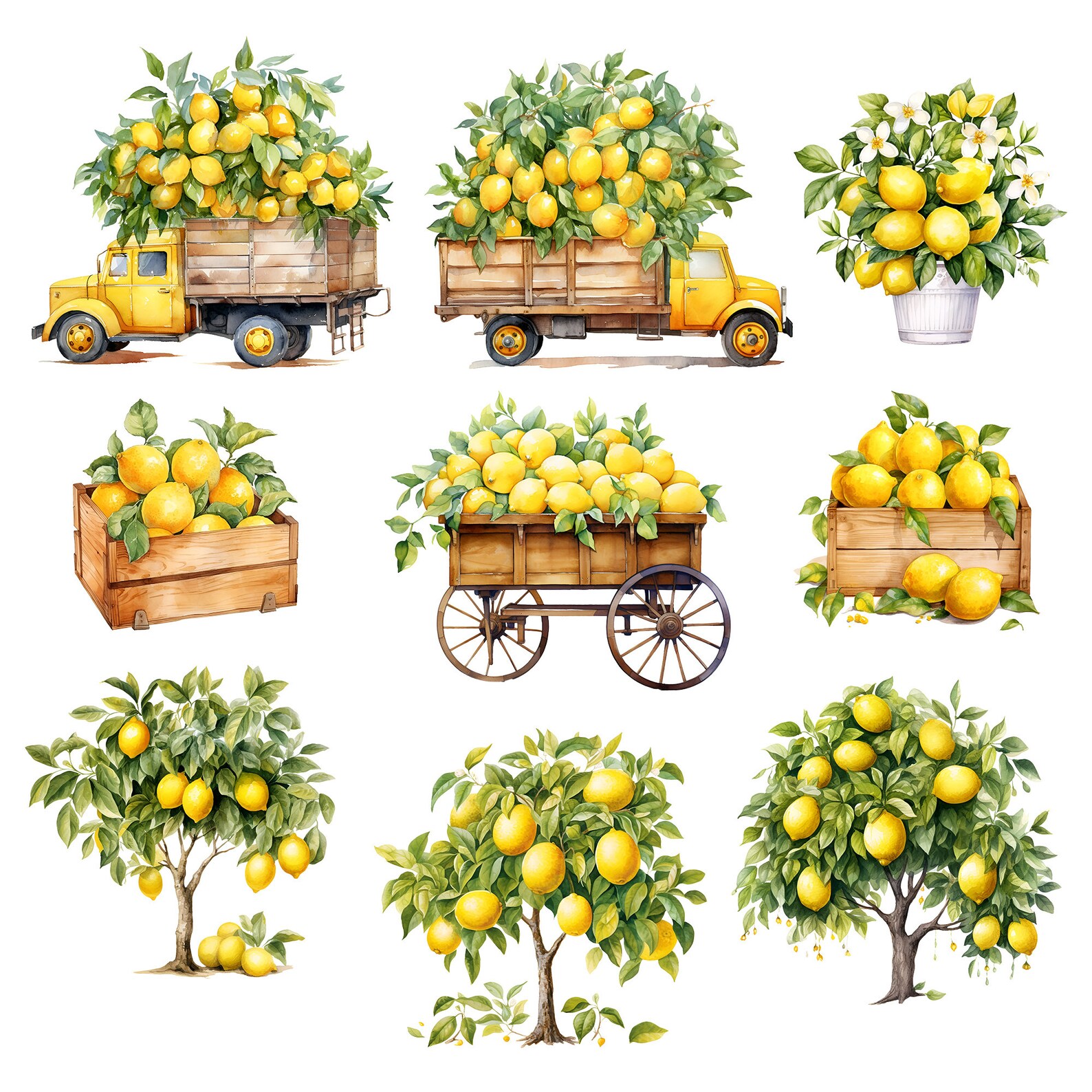 Lemons Watercolor Clipart Bundle, Images of Refreshing Summer Lemon ...