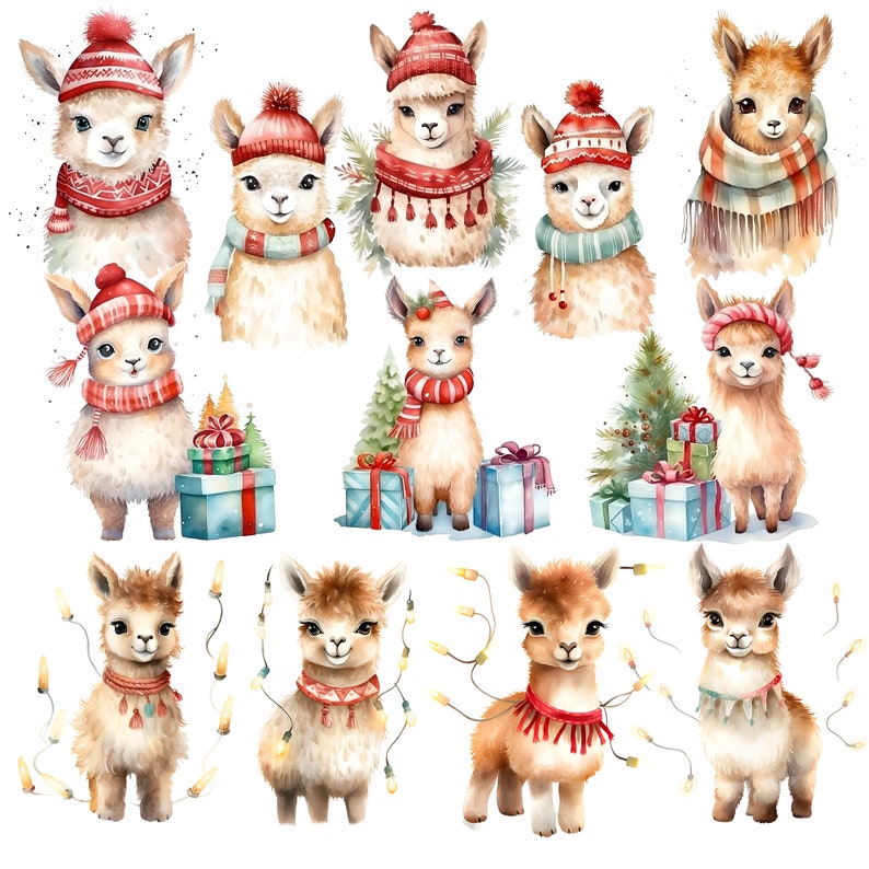 Christmas Llama Clipart: Holiday PNG Graphics (commercial Use) - Etsy