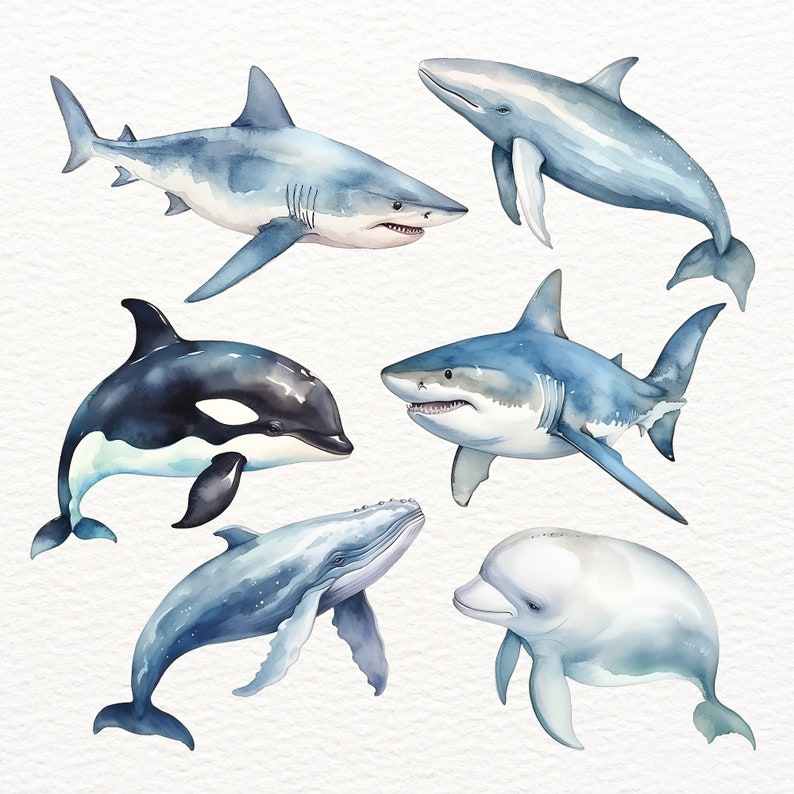 Arctic Animals Clipart, Penguin, Polar Bear, Walrus, Baby Shower ...