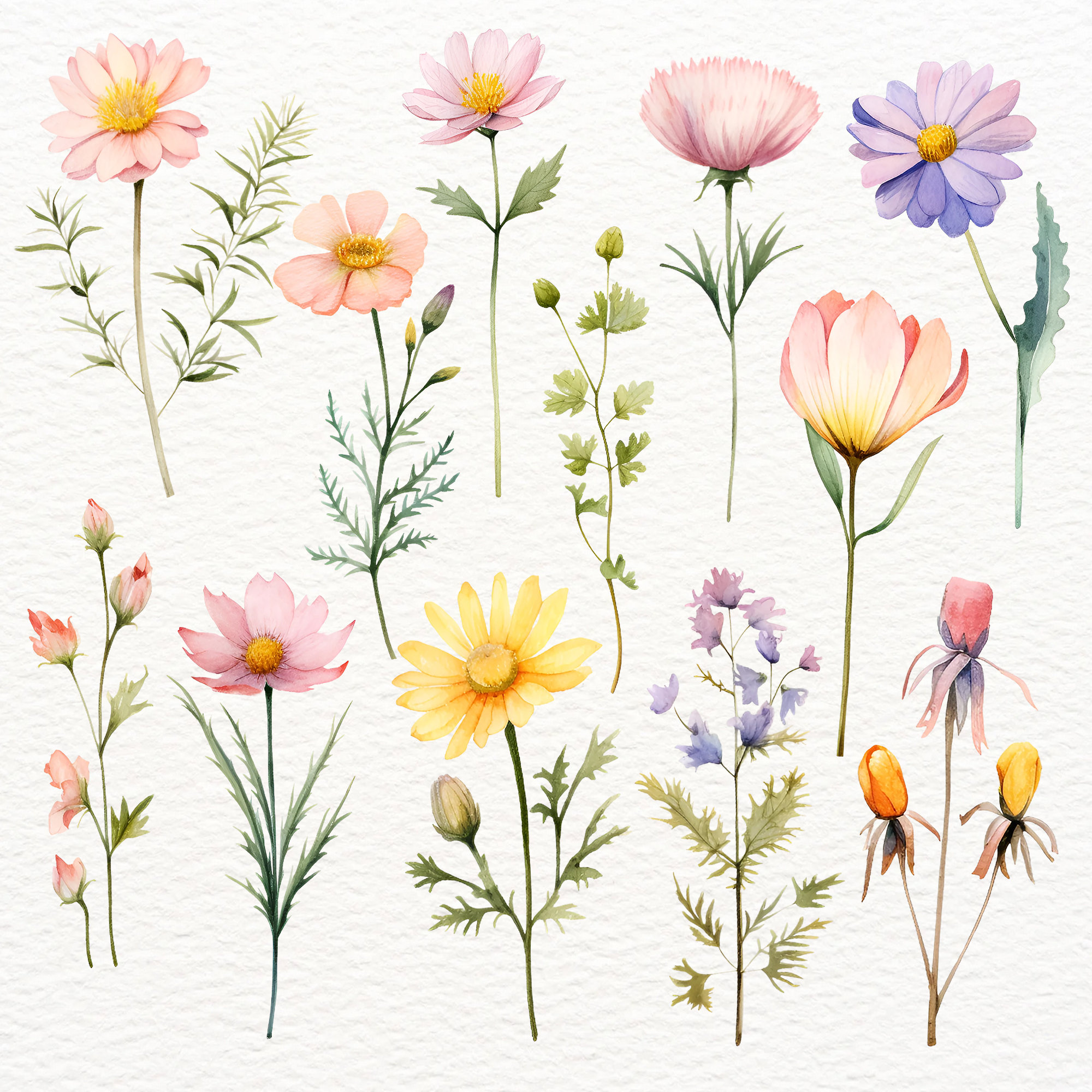 Wildflowers Clipart, Watercolor Boho Flowers, Wild Flower Painting ...
