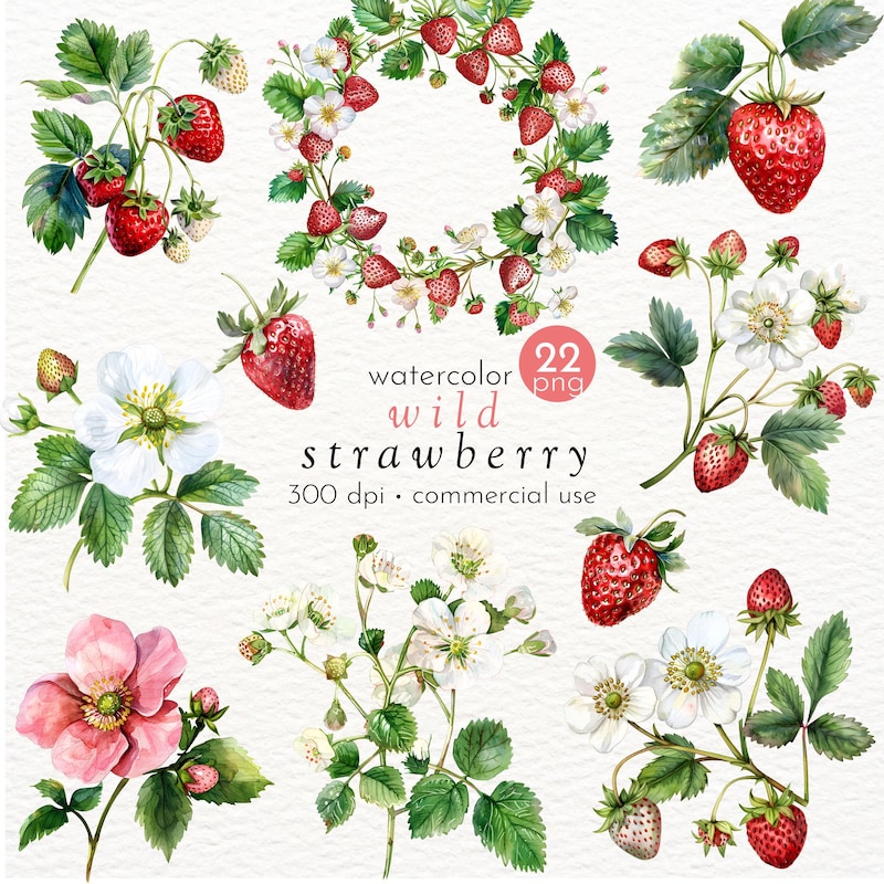 Erdbeeren blumen aquarell - Etsy.de