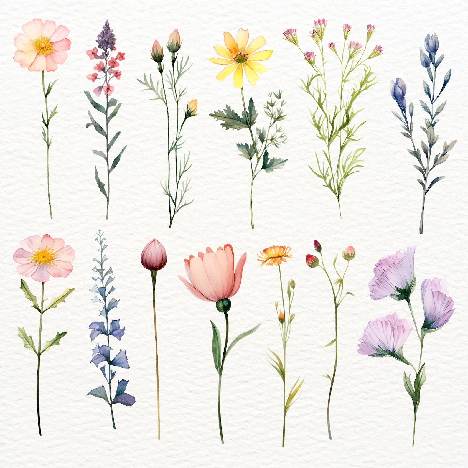 Wildflowers Clipart, Watercolor Boho Flowers, Wild Flower Painting ...