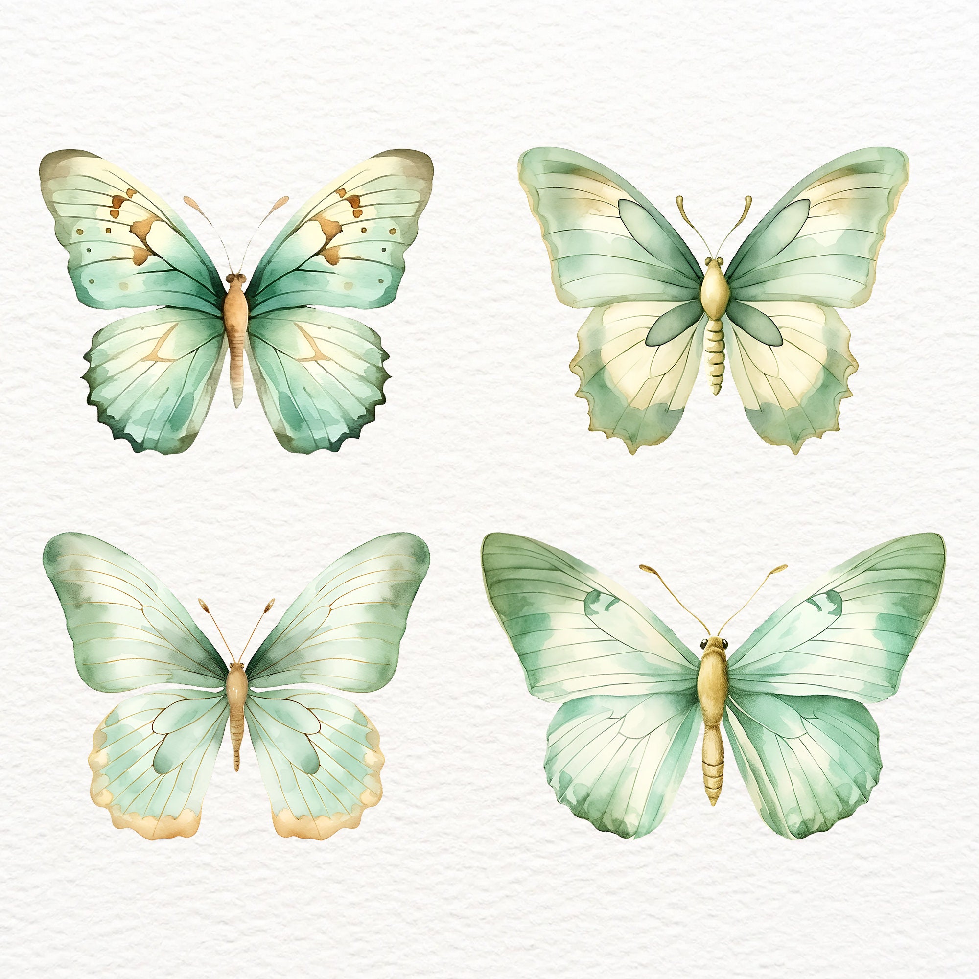 Mint Green and Gold Butterflies Clipart, Watercolor Insects, Painted ...