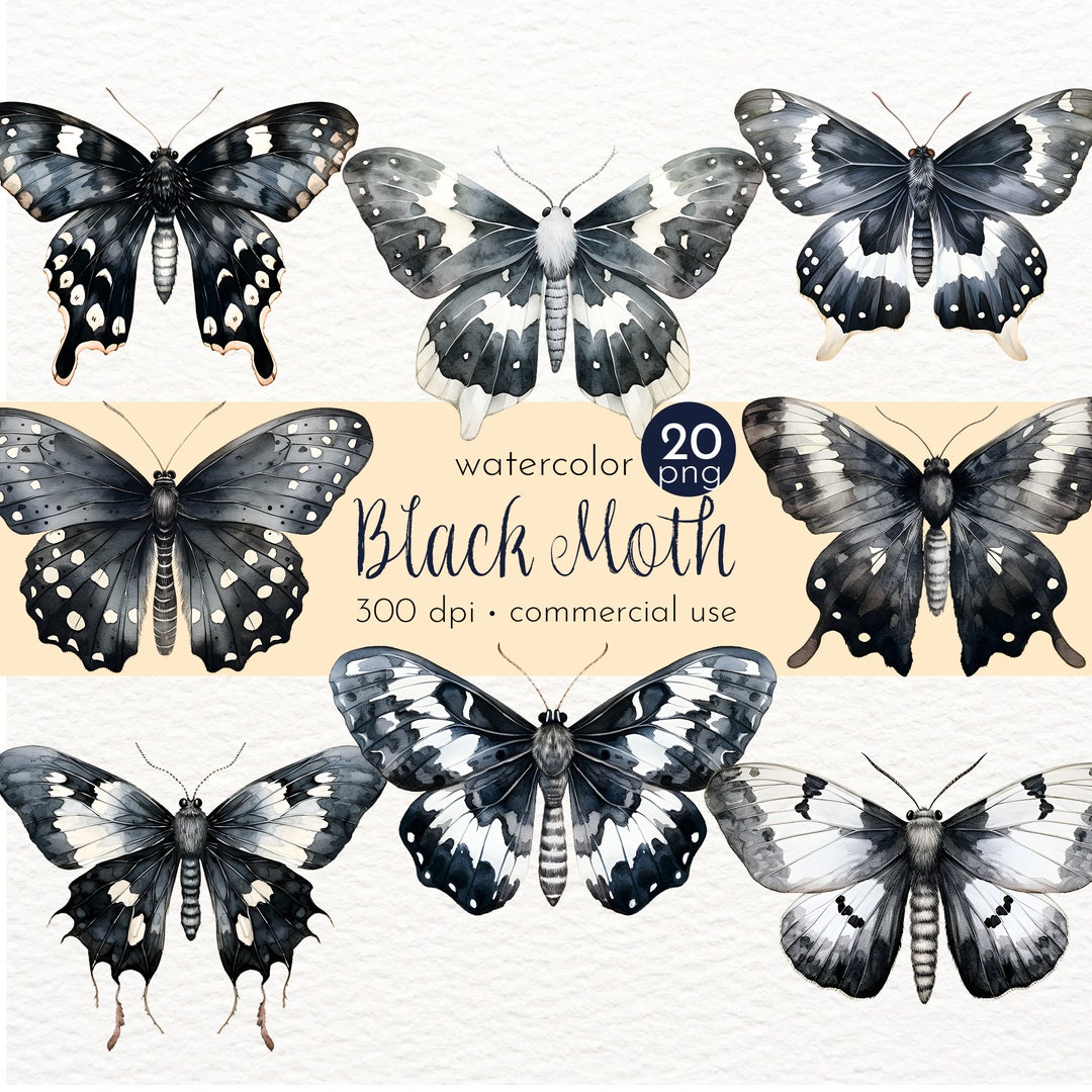 Black Moth Clipart, Watercolor Insects, Painted Moths, Rustic Organic ...