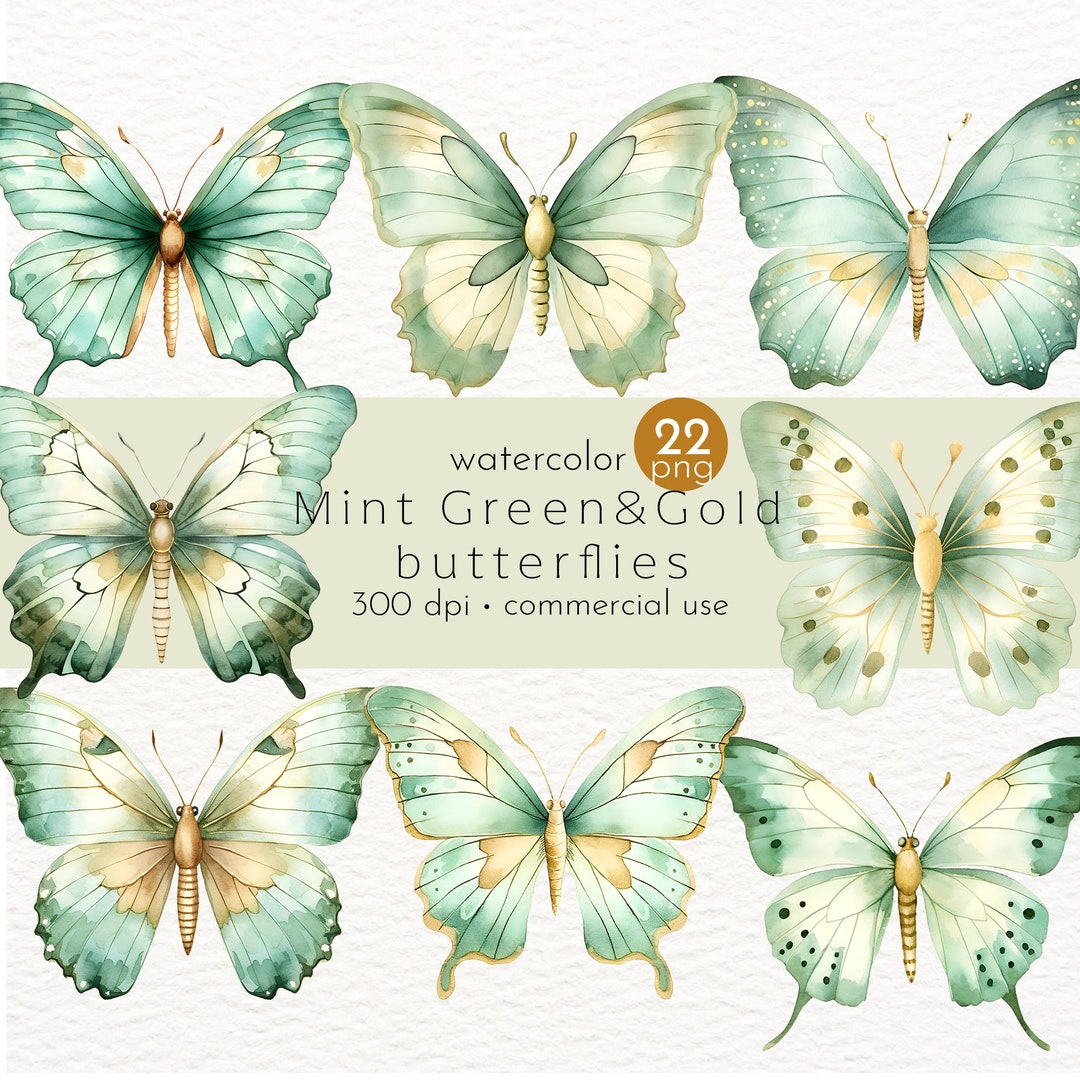 Mint Green and Gold Butterflies Clipart, Watercolor Insects, Painted ...