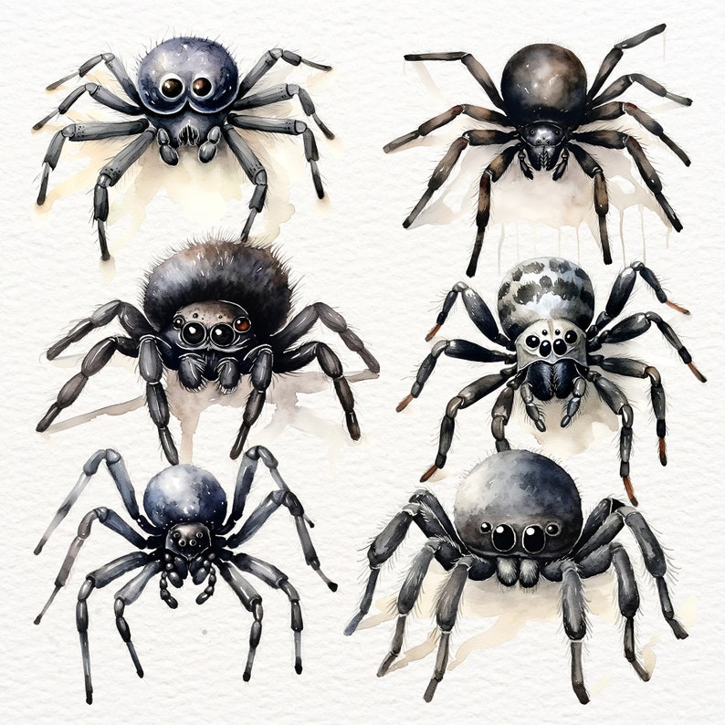 Cute Black Spiders Clipart, Gothic Clipart, Spiderweb Clipart Clipart ...