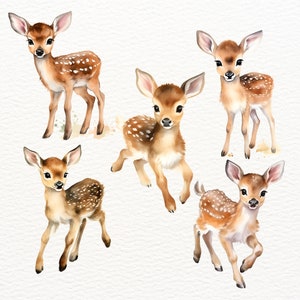 Baby Deer Clipart: 18 Watercolor Forest Animals (PNG, Commercial Use ...