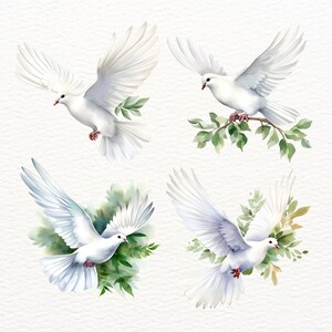 Watercolor Dove Clipart: 20 Flying Bird PNG Images (commercial Use) - Etsy