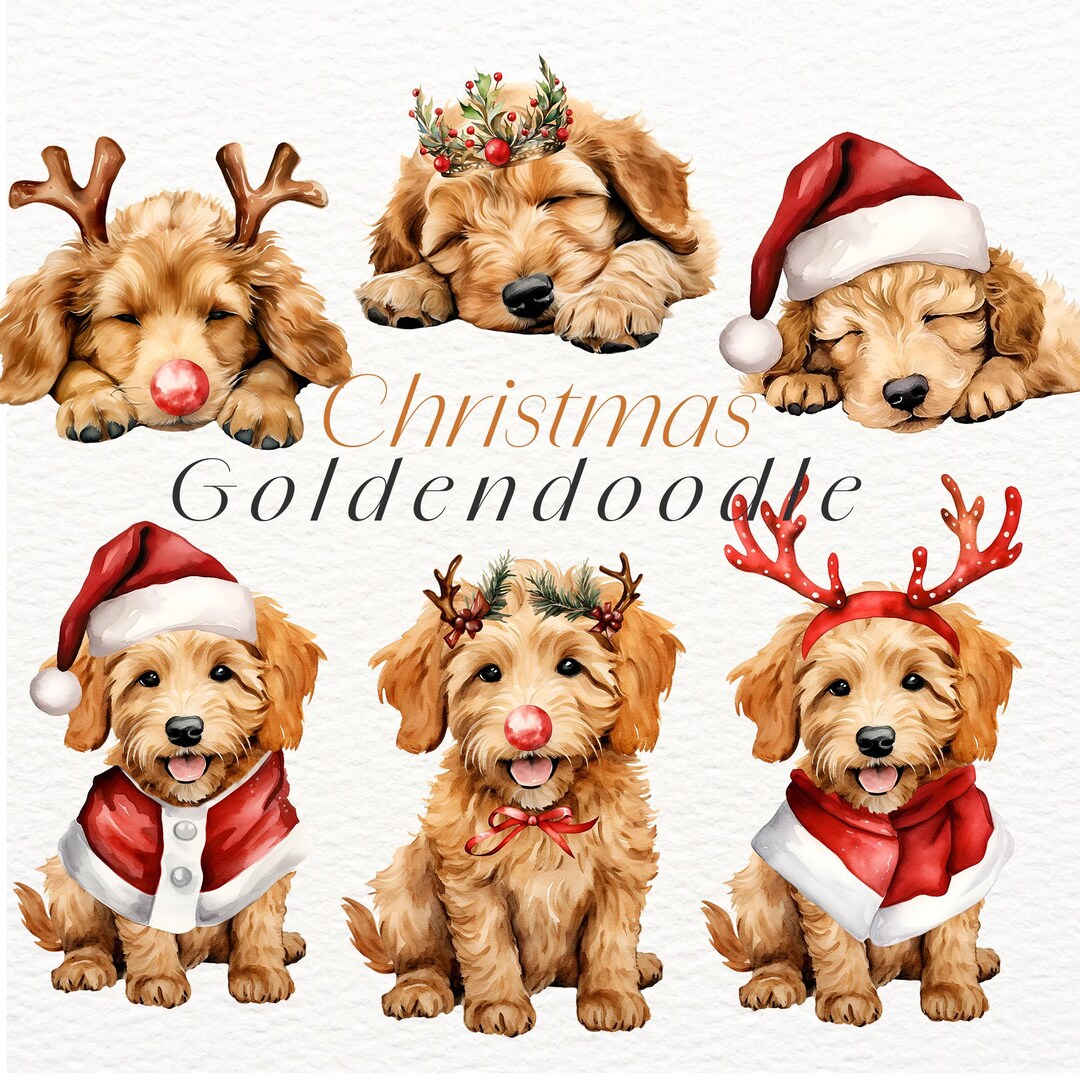 Christmas Goldendoodle Clipart: Holiday PNG Images (commercial Use) - Etsy
