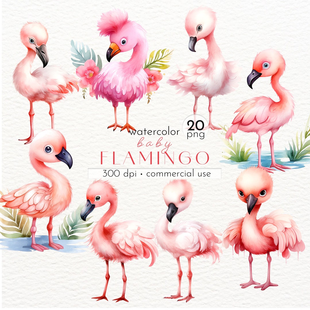 Watercolor Baby Flamingo Clipart: 20 PNG Images (commercial Use) - Etsy