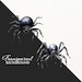 Cute Black Spiders Clipart, Gothic Clipart, Spiderweb Clipart Clipart ...