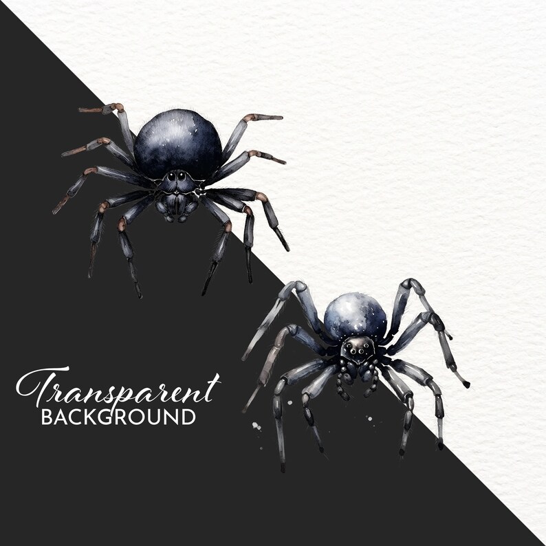 Cute Black Spiders Clipart, Gothic Clipart, Spiderweb Clipart Clipart ...