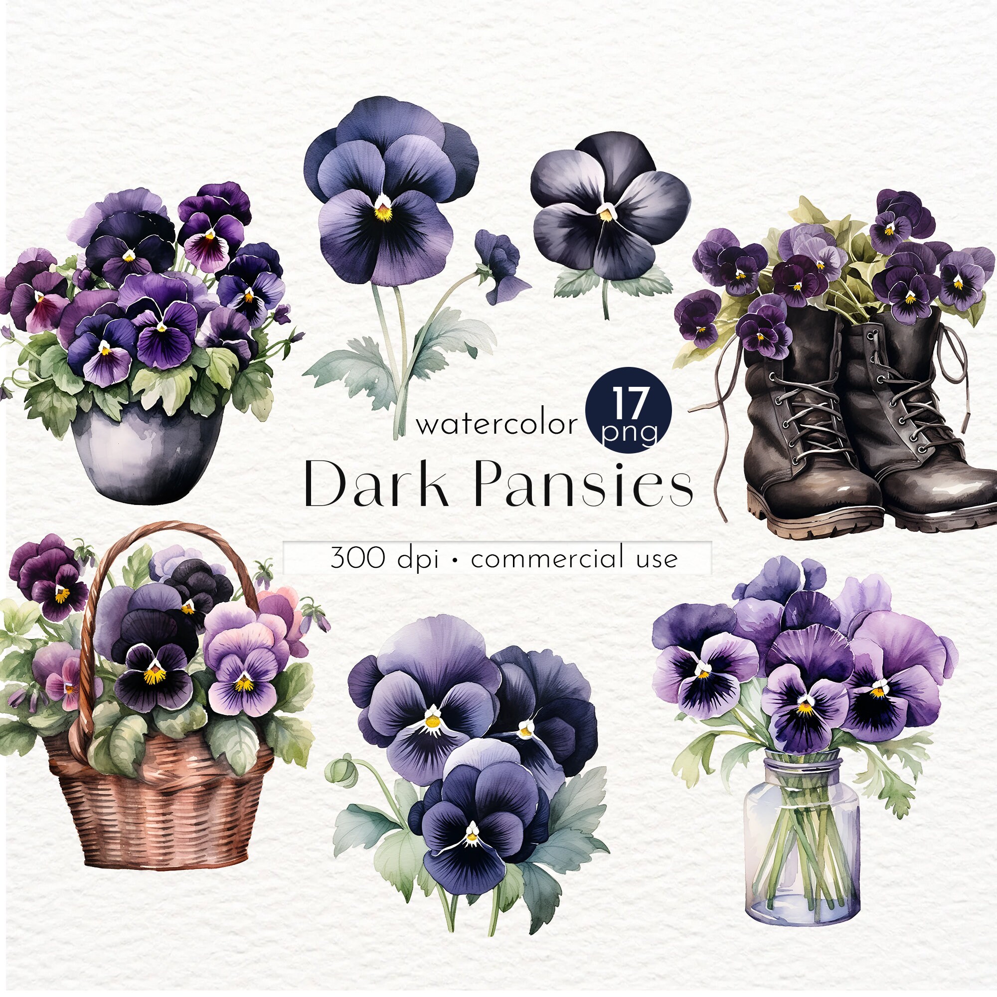 Dark Pansies Clipart, Pansy Images, Images of Watercolor Spring Flowers ...