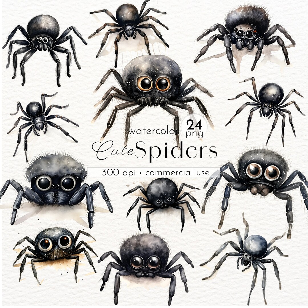 Cute Black Spiders Clipart, Gothic Clipart, Spiderweb Clipart Clipart ...