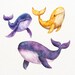 Watercolor Whale Clipart: Sea Animals Art (PNG, Commercial Use) - Etsy