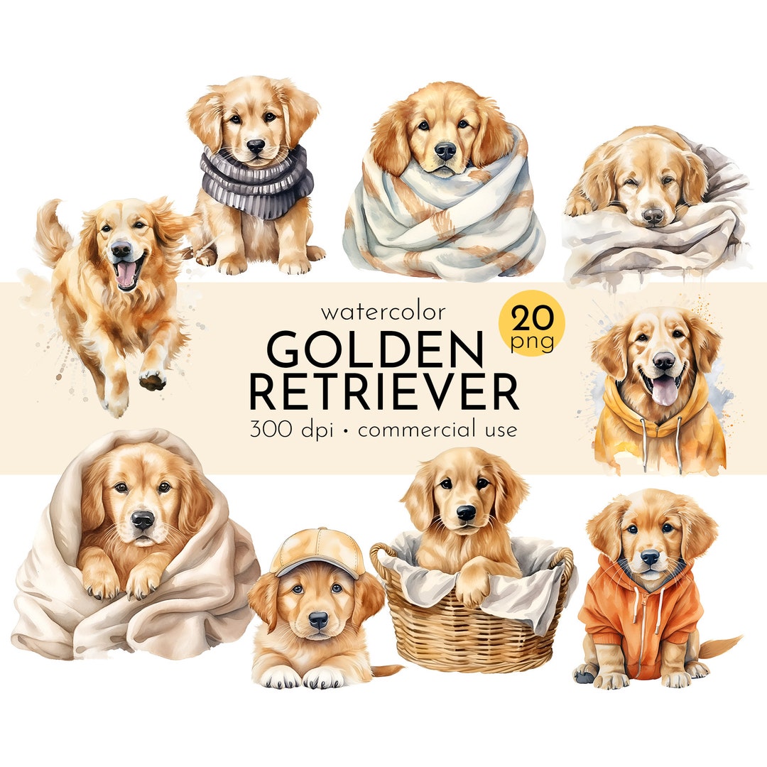 Golden Retriever Clipart: 20 Watercolor Dog Images (digital Download ...