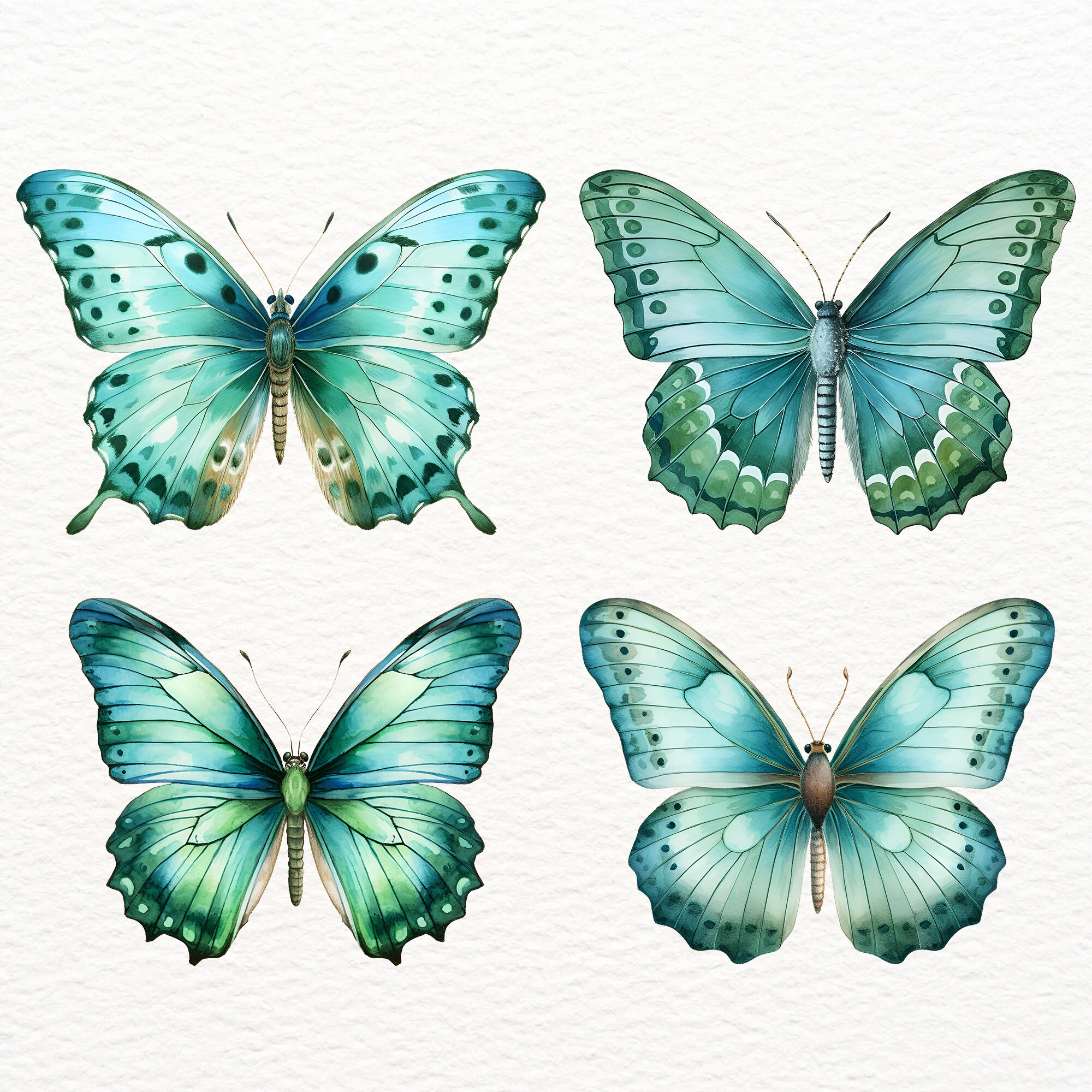 Vintage Turquoise Butterflies Clipart, Watercolor Insects, Painted ...