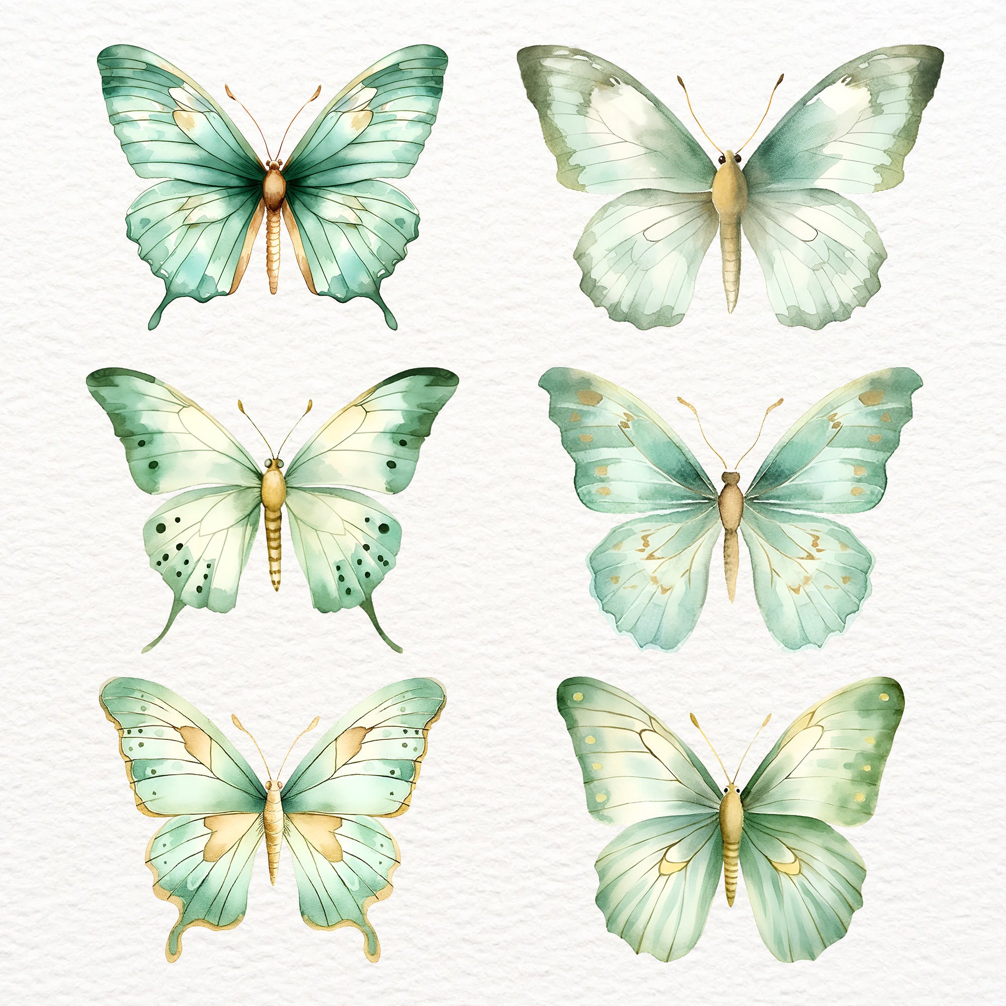 Mint Green and Gold Butterflies Clipart, Watercolor Insects, Painted ...