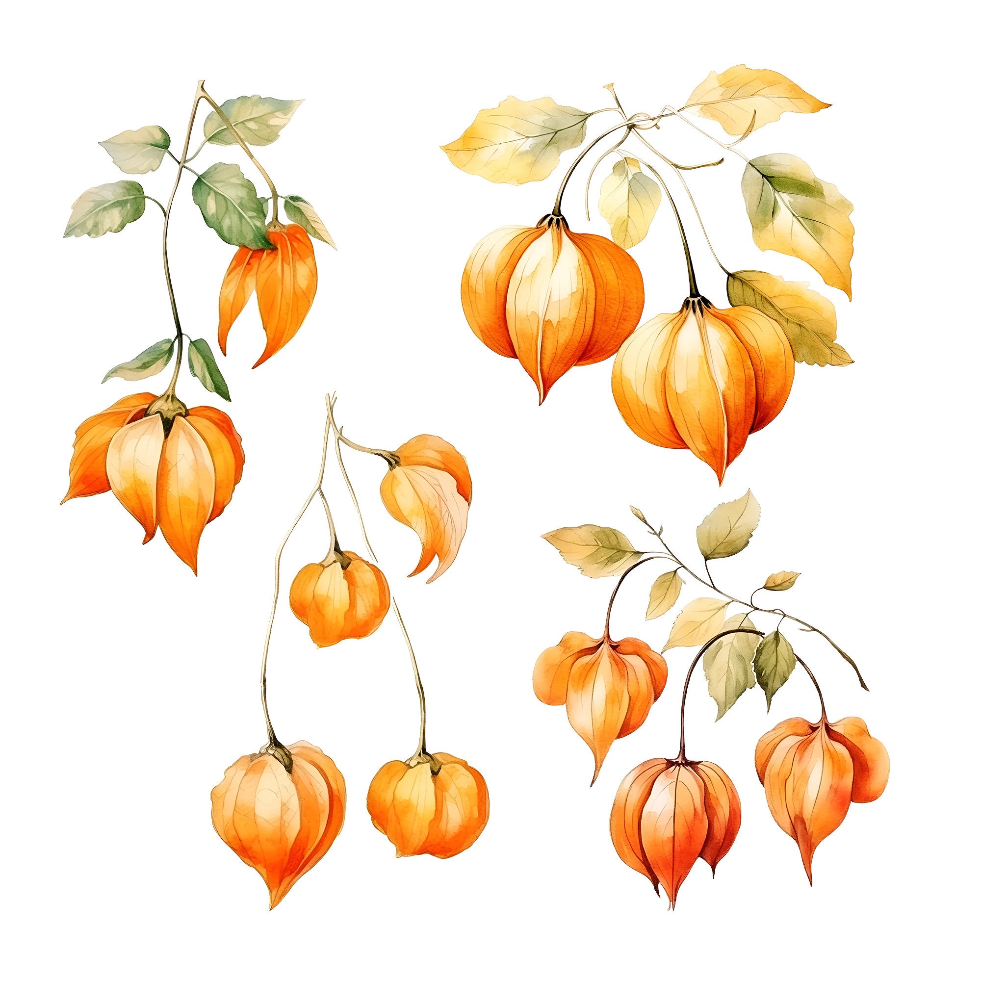 Watercolor Autumn Leaves Clipart: 41 PNG Images (commercial Use) - Etsy
