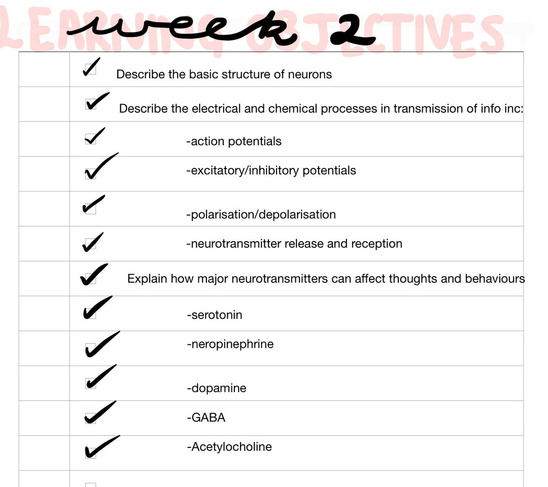Brain and Behaviour Notes Psychology Neurons - Etsy