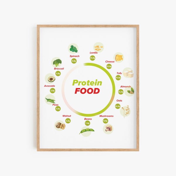 Protein Poster - Etsy