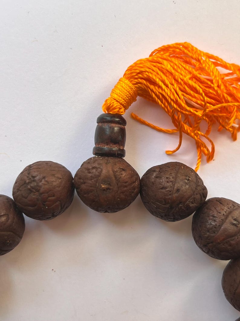 Dark Brown Bodhi Seed Phoenix Eye Bodhiseed Bodhi Seed Buddhachitta ...