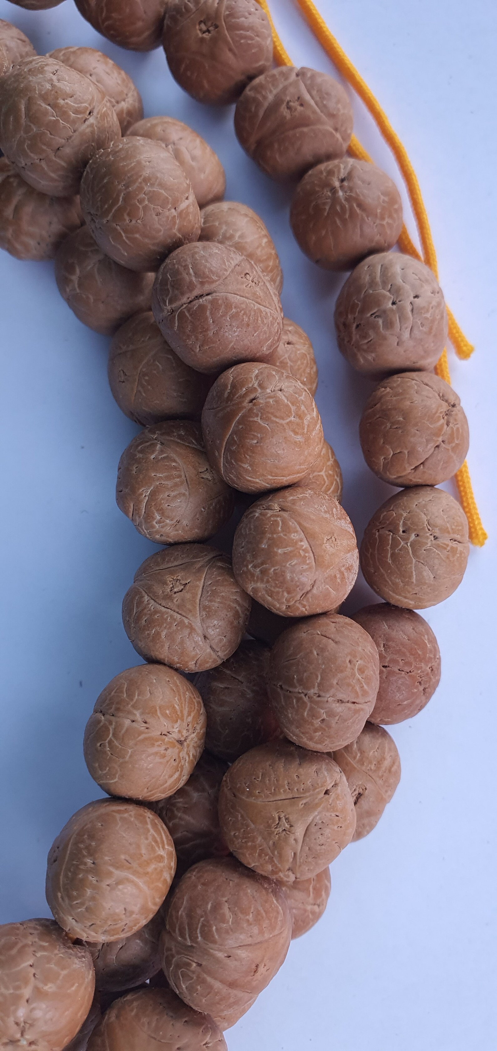 15-16mm Old Mud Colour Three Eye Natural Bodhi Seed Beads Buddha Chitta ...