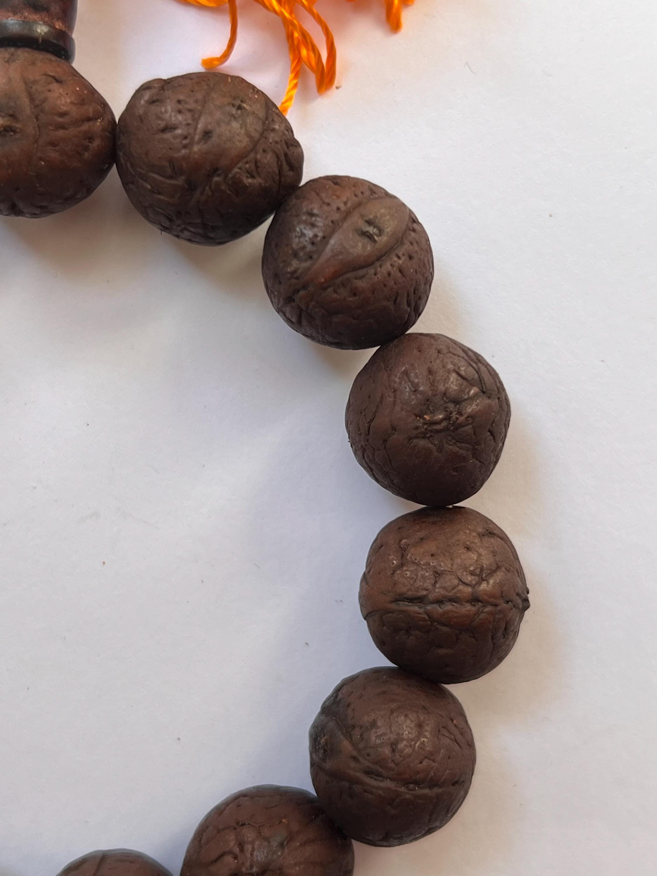 Dark Brown Bodhi Seed Phoenix Eye Bodhiseed Bodhi Seed Buddhachitta ...