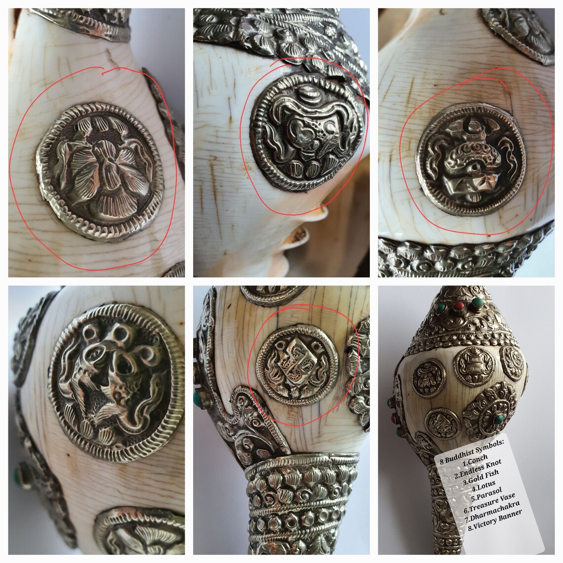 Blowable Large Conch Shell Astamnagala Engraved Buddhist Eight ...